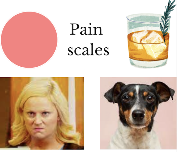 Not a fan of hospital pain scales? I made you these four alternatives ...